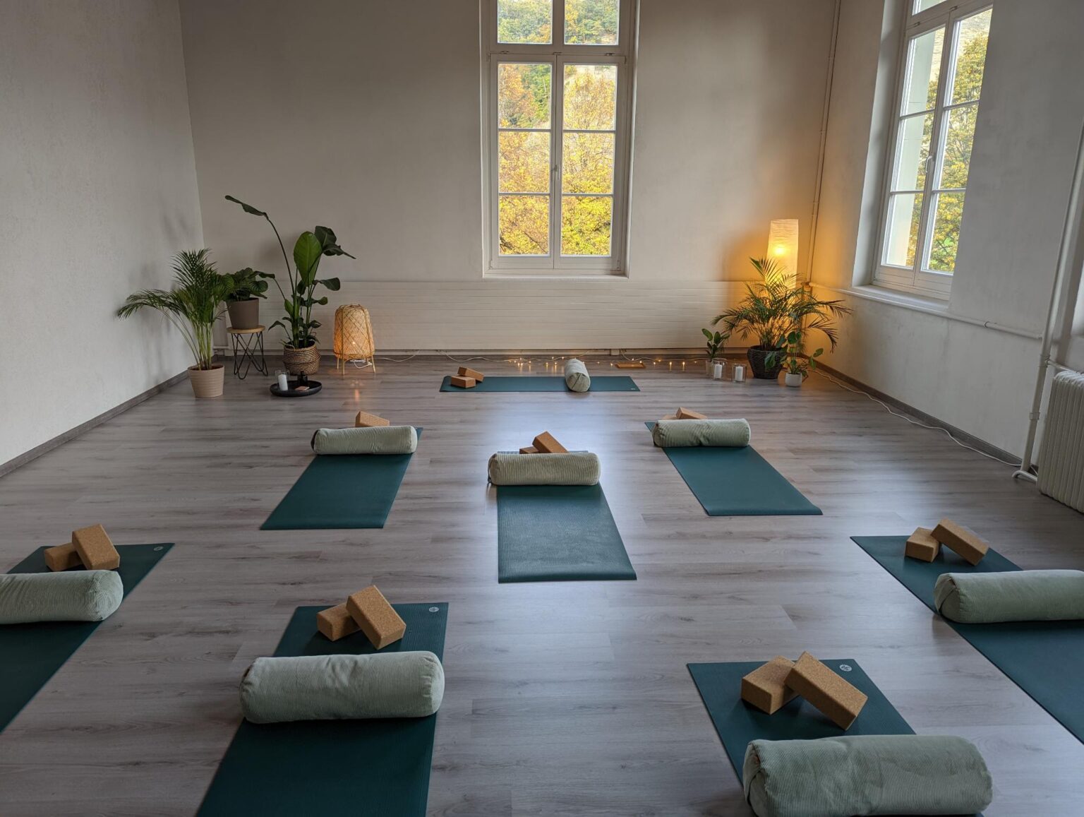 Studio - Dhara Yoga